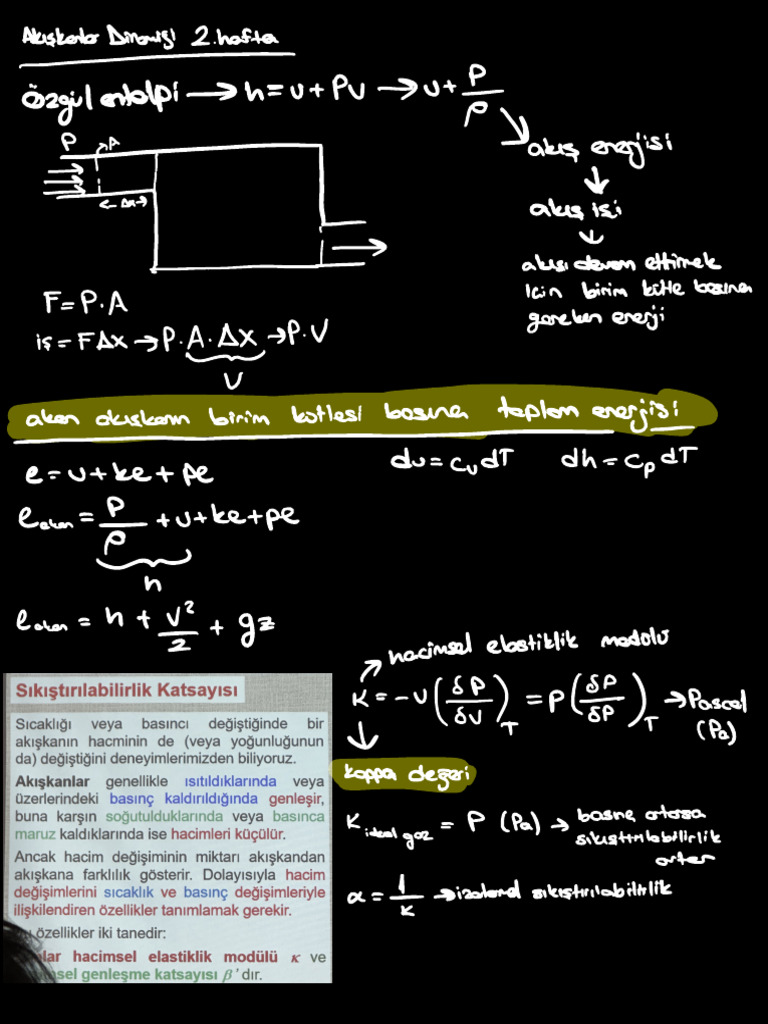 2. hafta akışkan | PDF