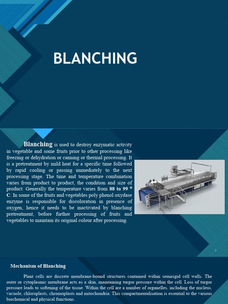 Blanching | PDF | Cell (Biology) | Chemistry