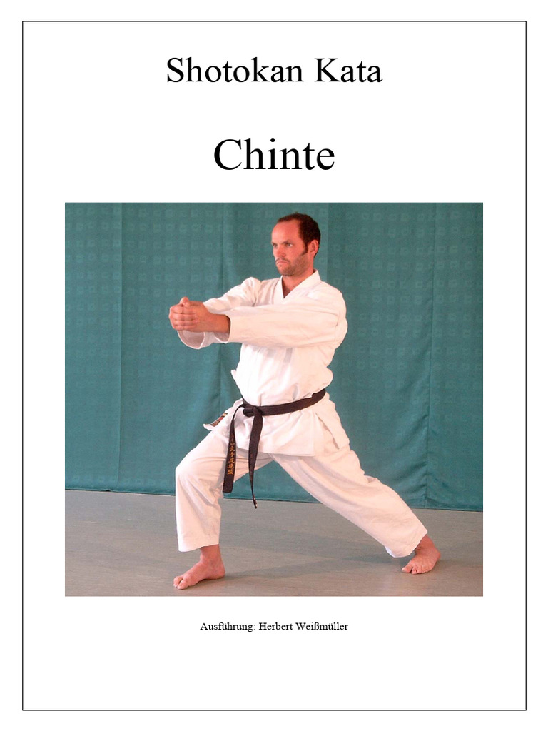 Chinte | PDF