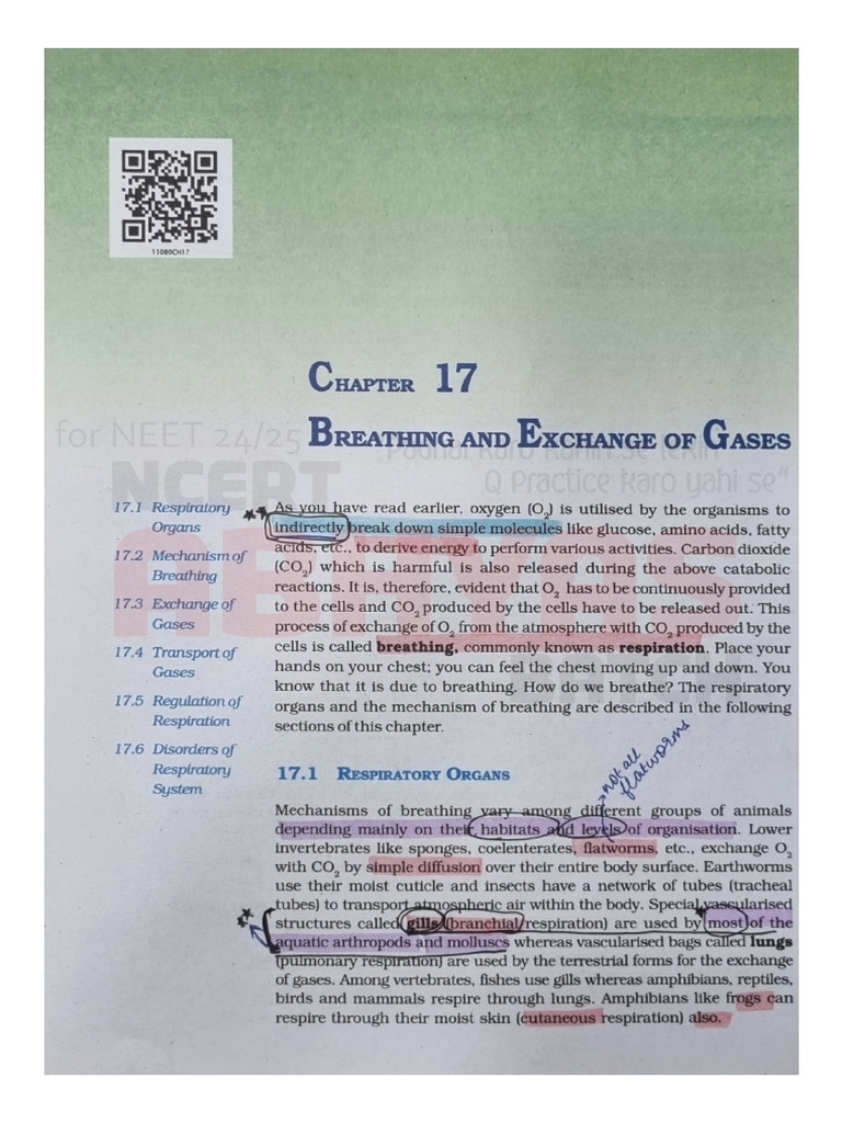 PYQ Marked Breathing and Exchange of Gases | PDF