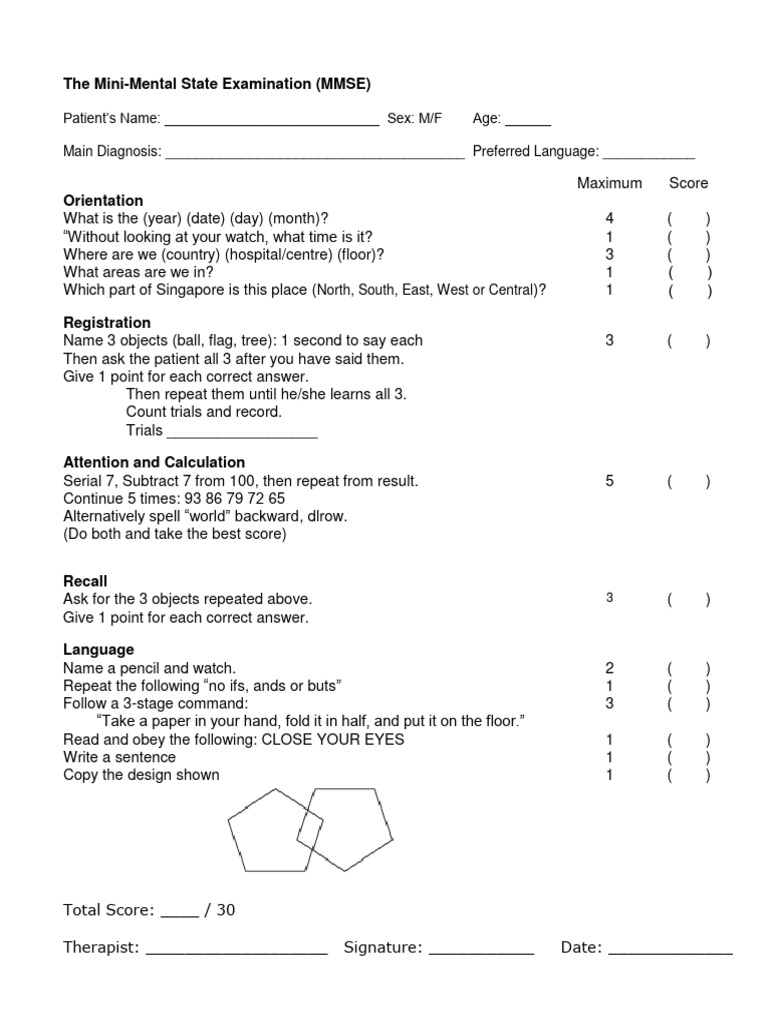 MMSE (English Version) | PDF