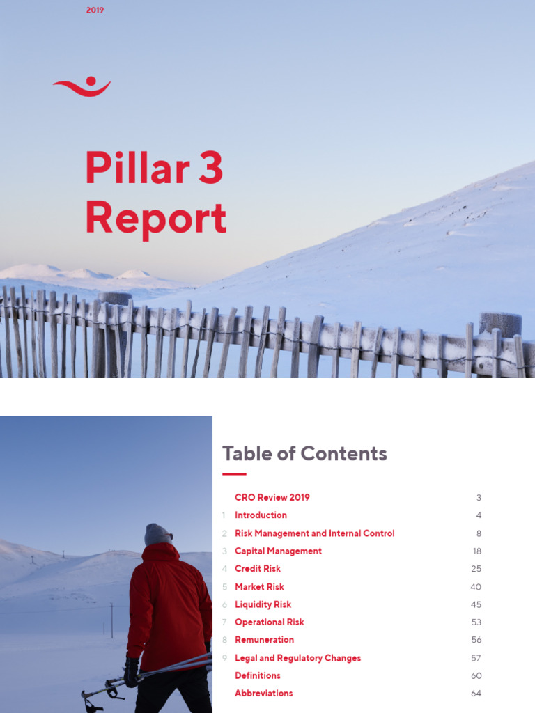 Pillar 3 Report 2019 | PDF | Capital Requirement | Internal Control