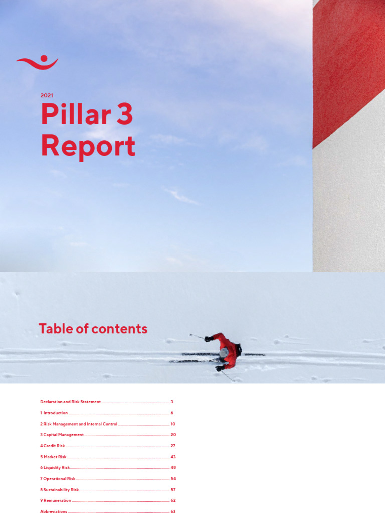 Pillar 3 Report 2021 | PDF