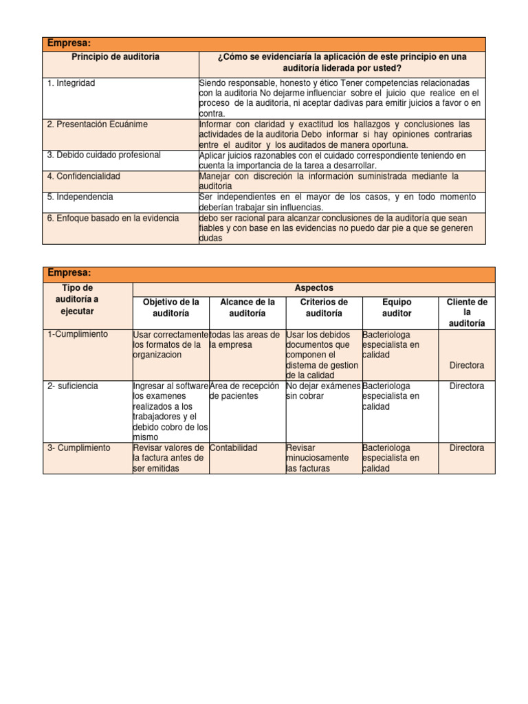 Evidencia AA1-Ev3 Informe Ejecutivo | PDF | Auditoría | Business
