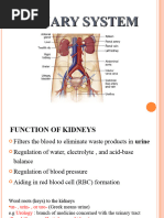 Urology Medical Terminology | PDF | Urinary System | Kidney