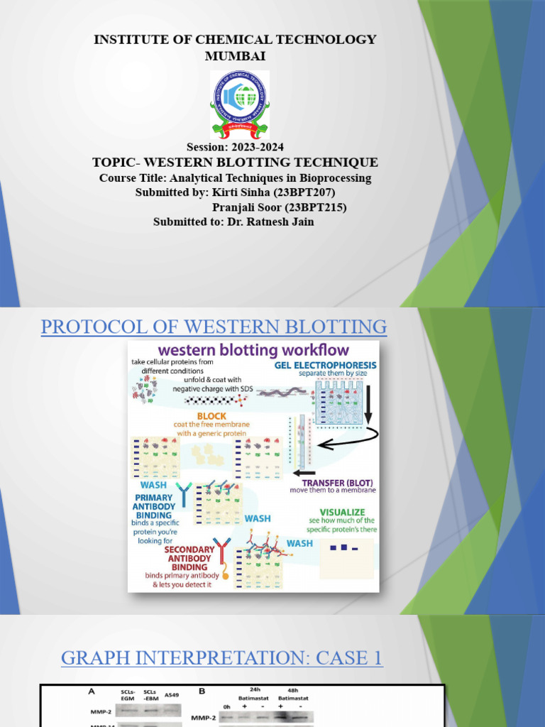 Western Blotting Protocol Guide | PDF | Science & Mathematics ...