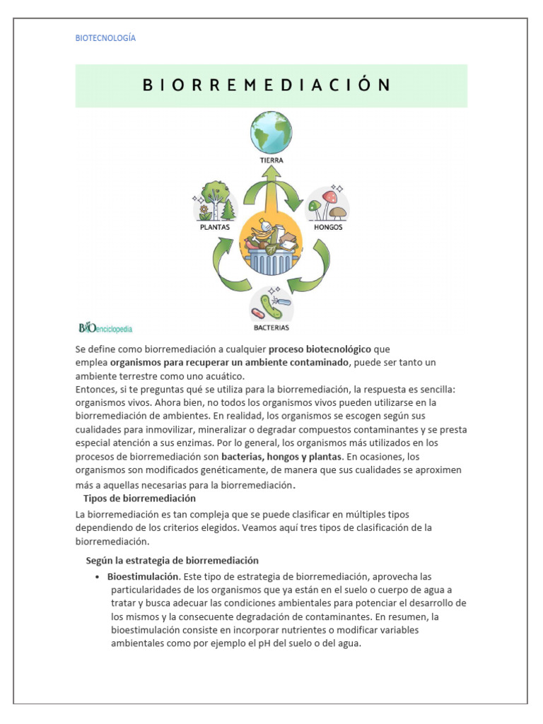 Biorremediación | PDF | Biotecnología | Contaminación
