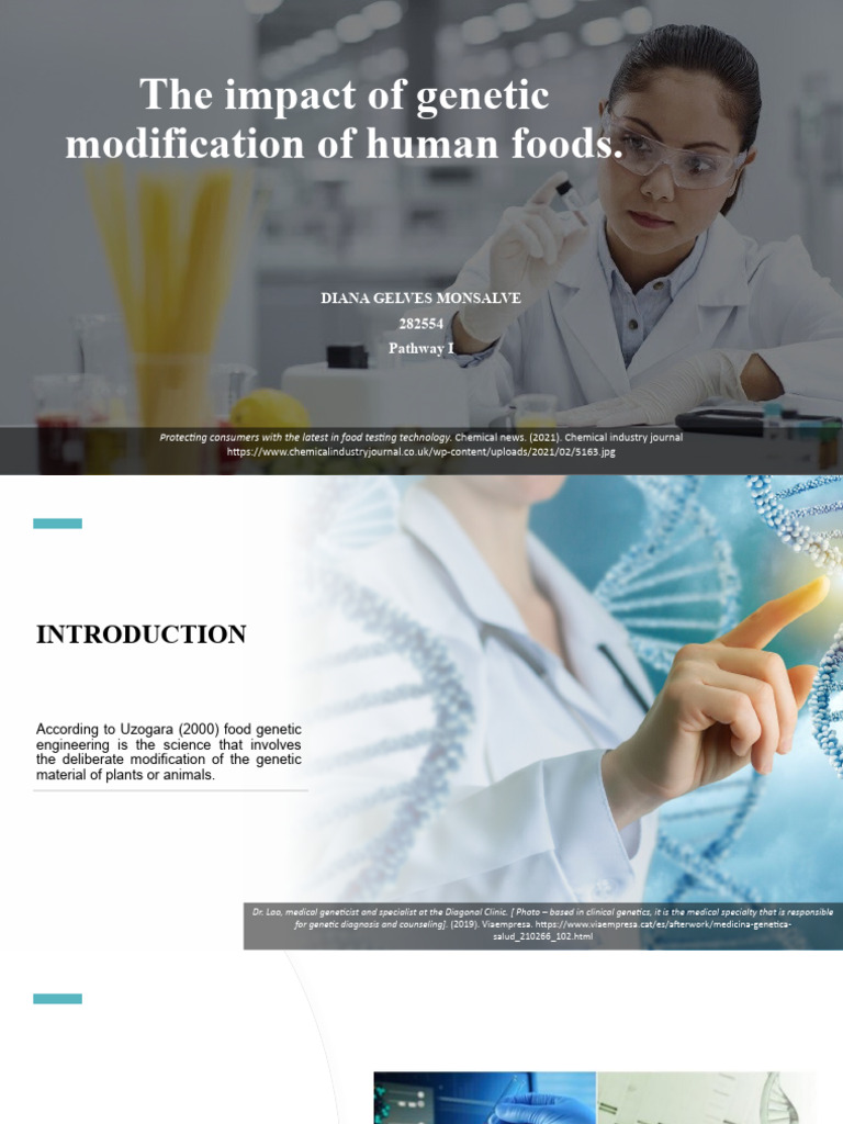 Effects of Genetic Modification in Food | PDF | Genetic Engineering ...