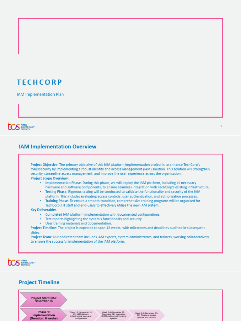TechCorp IAM Implementation Plan | PDF | Software Testing | Usability