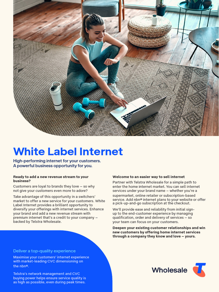 White Label Internet Flyer | PDF