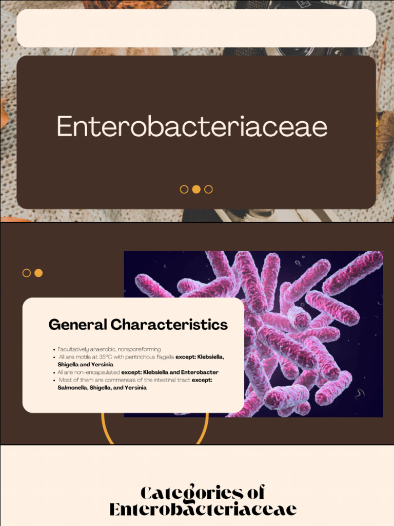 ENTEROBACTERIACEAE | PDF