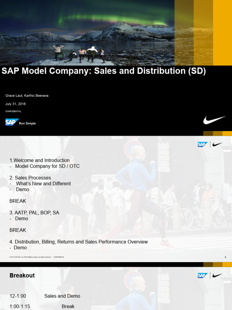 SAP Sales & Distribution Guide | PDF | Sales | Market Segmentation