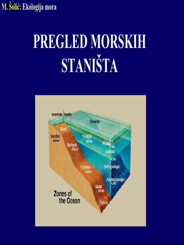 Pregled Morskih Stanista | PDF