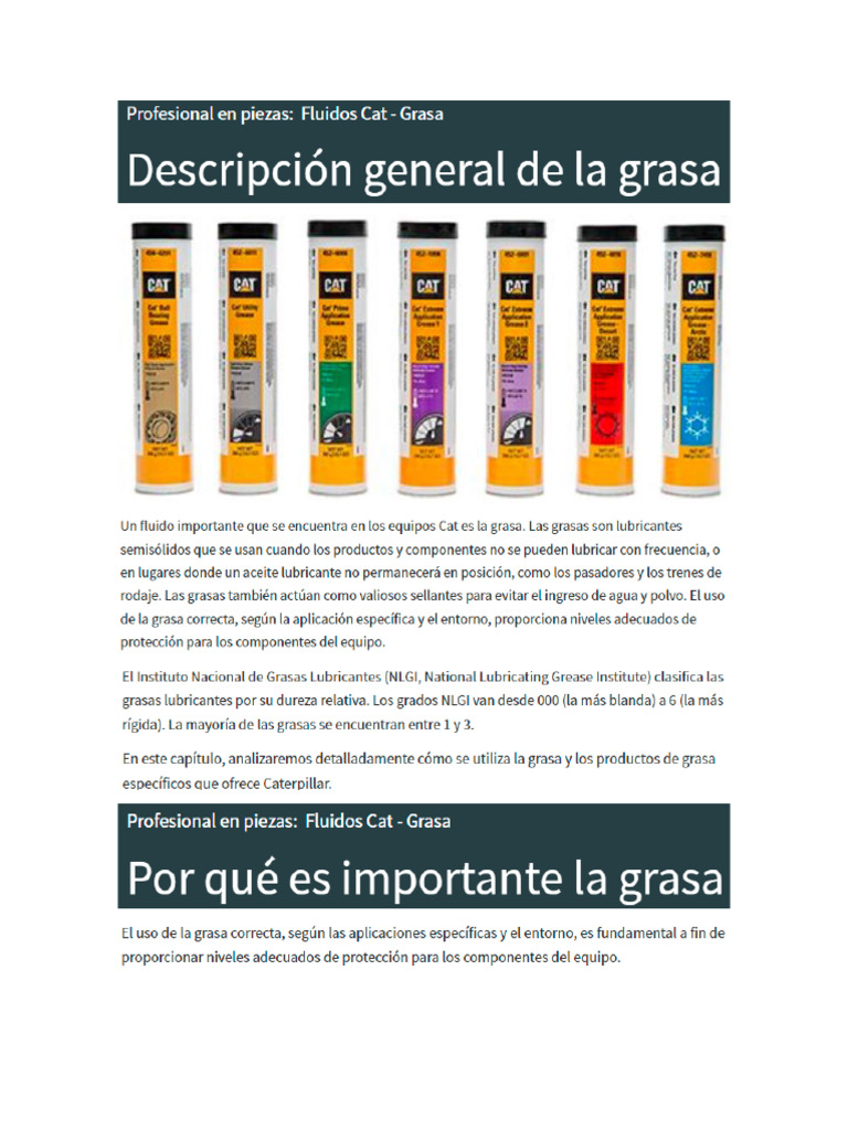 GRASAS | PDF