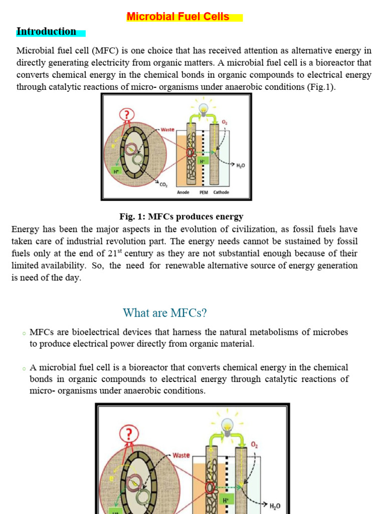 Microbial Fuel Cell - 08 | PDF | Anode | Electrochemistry