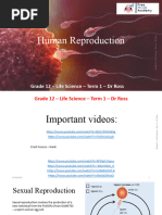 Term 3 Life Science Remote Learning Booklet | PDF | Leaf | Mitosis