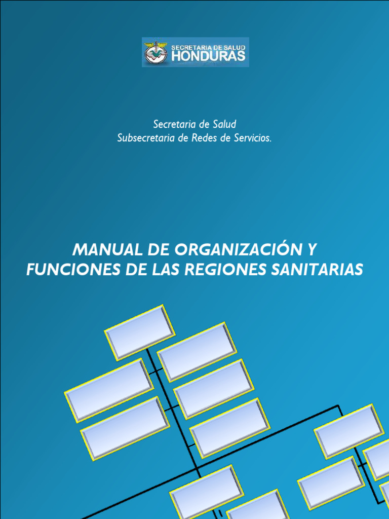 MANUAL DE ORGANIZACION Y FUNCIONES DE LAS REGIONES SANITARIAS jun12 ... MANUAL DE ORGANIZACION Y FUNCIONES DE LAS REGIONES SANITARIAS jun12 ...