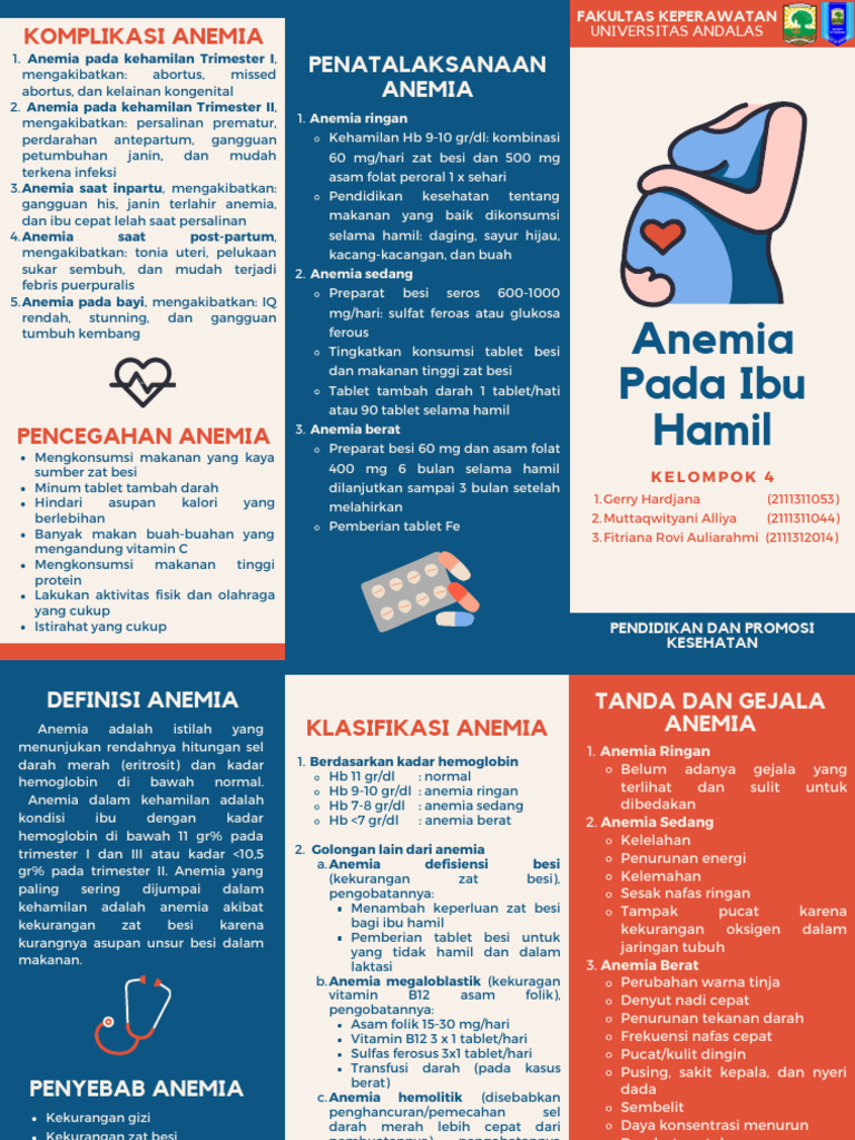 Leaflet - Prak Promkes (SAP Anemia Pada Ibu Hamil) | PDF
