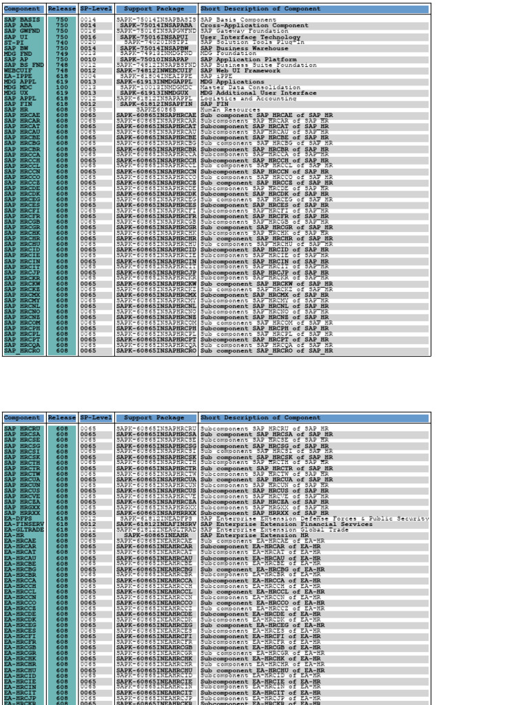 Sap Components | Download Free PDF | Systems Engineering | Computing