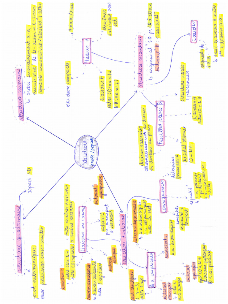 Carte Mentale Biochimie | PDF Carte Mentale Biochimie | PDF