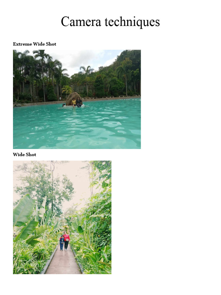 Camera Techniques | PDF