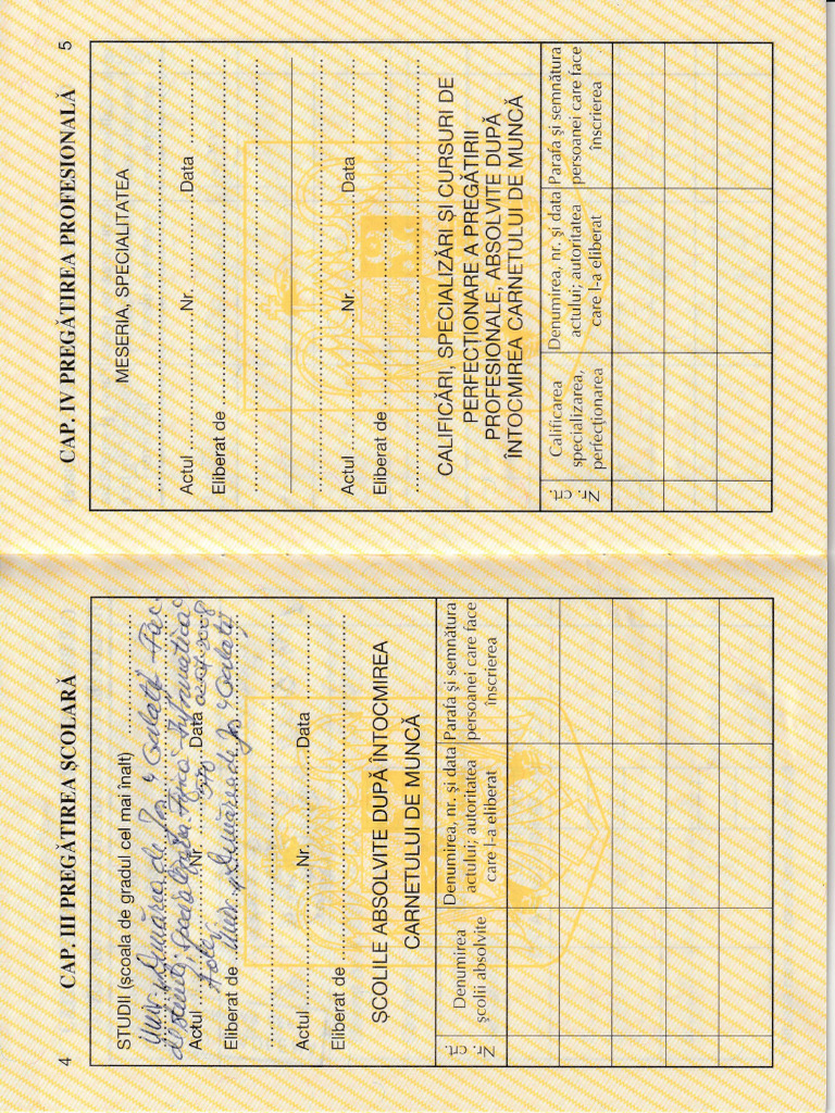 Raport Revisal - 20240214 - 0001 | PDF