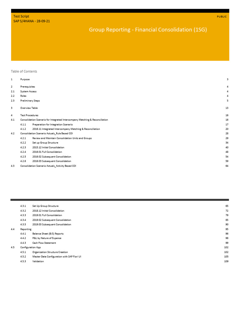 Group Reporting Financial Consolidation | PDF | Income Statement | Business
