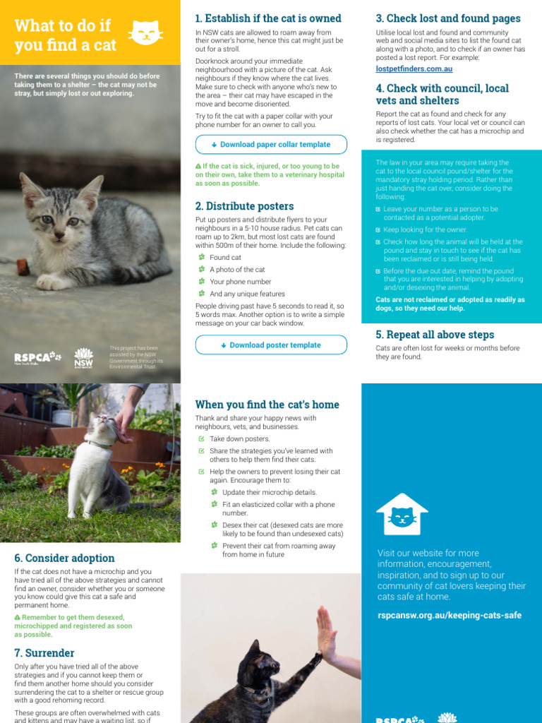 DL - Brochure - If You Find A Cat - WEB | PDF | Domesticated Animals ...