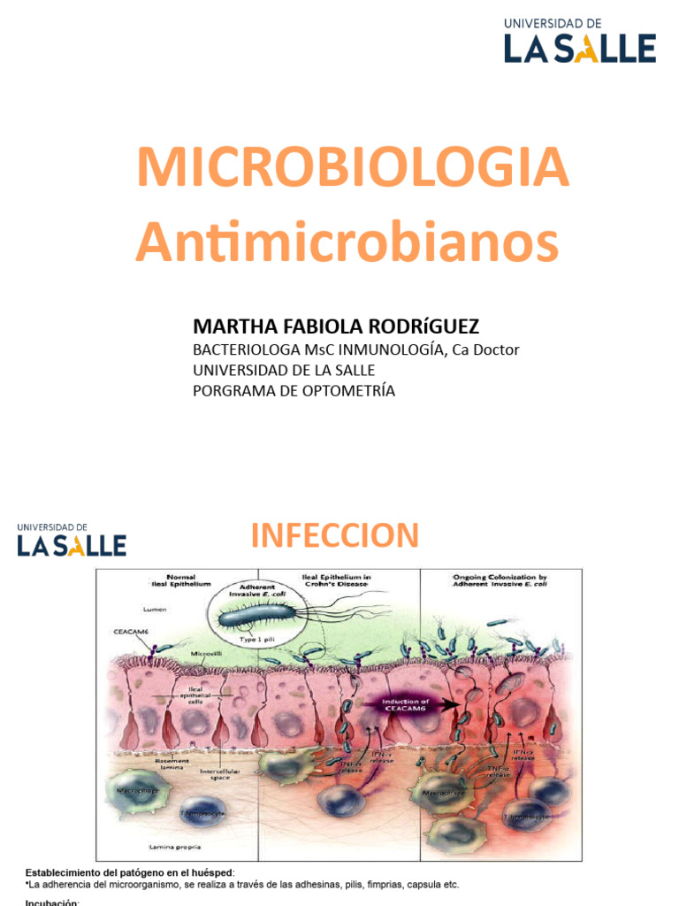 Antimicrobioanos 2 Antivirales Antimicoticos y Antiparasitarios | PDF | Virus | Droga antiviral