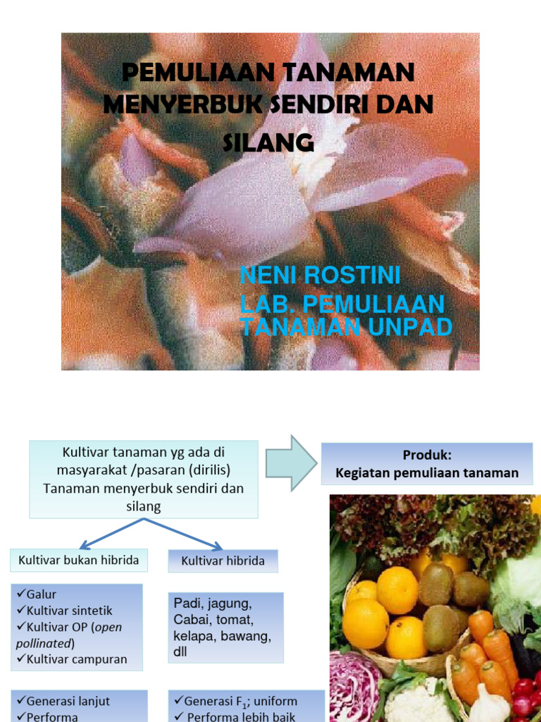 Metode Seleksi Atau Metode Pemuliaan DR. NENI ROSTINI | PDF