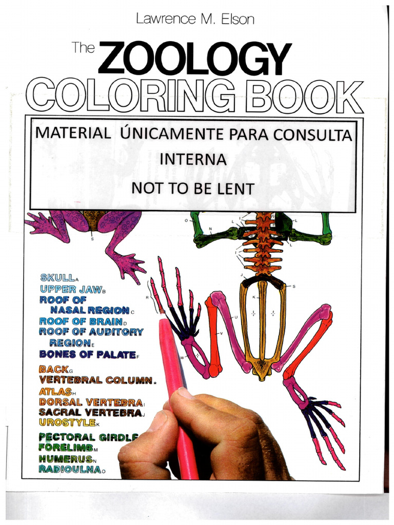 The Zoology Coloring Book | PDF