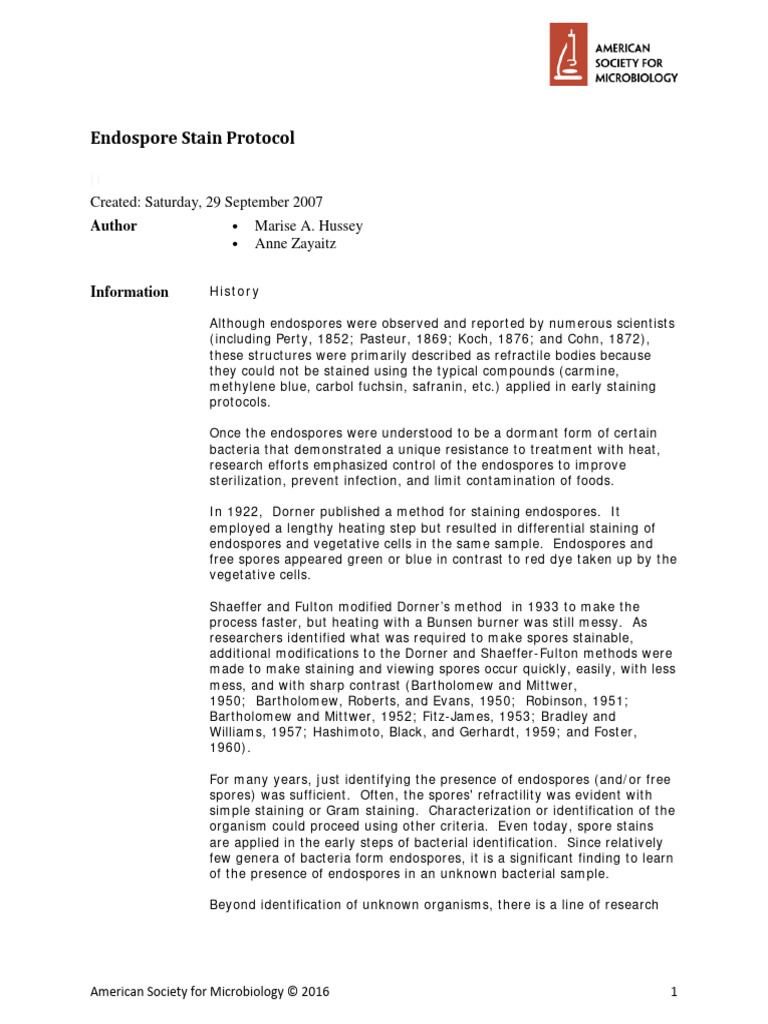 Endospore Stain Protocol Guide | PDF | Staining | Bacteria