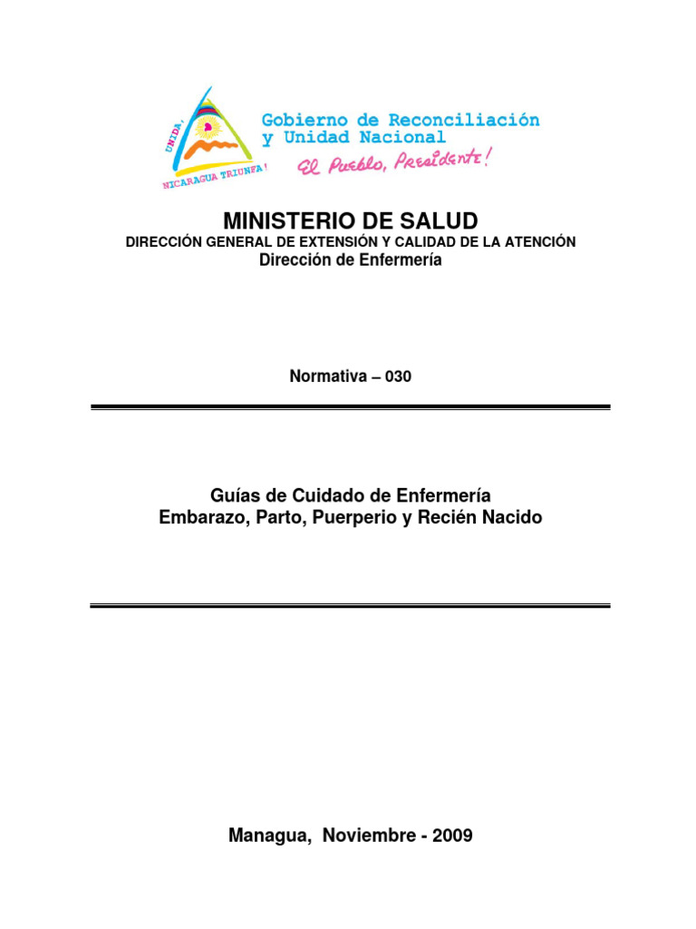 N 030 AM 326 09 Guía CUID ENF EN Parto, Puerperio Rec - Nac | PDF | Parto | El embarazo
