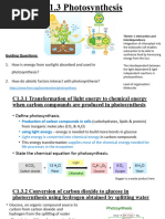 Elodea Lab Photosynthesis | PDF | Photosynthesis | Chemistry