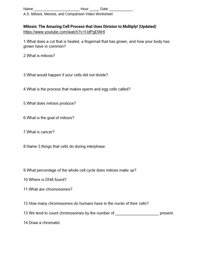 Mitosis vs Meiosis Video Worksheet | PDF | Meiosis | Mitosis