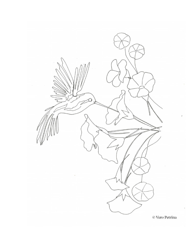 Colibrí para Pintar | PDF
