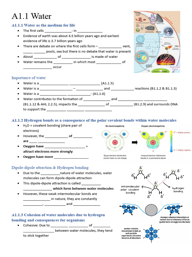 A1.1 Water Notes | PDF | Water | Chemical Bond