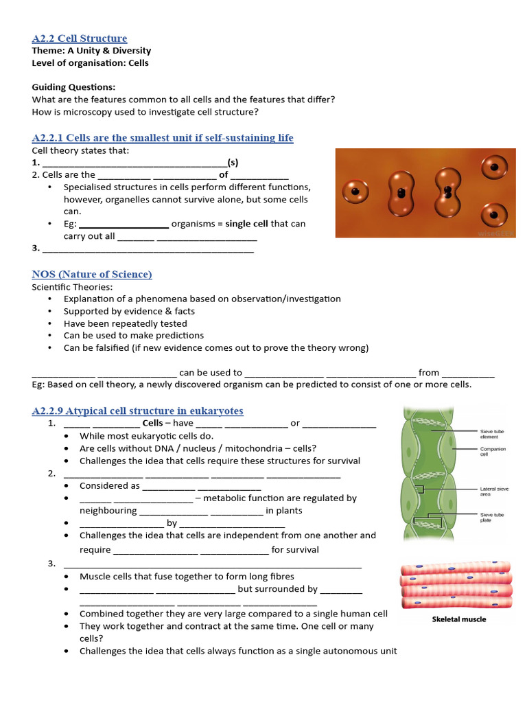 A2.2 Cell Structure Notes | PDF | Science & Mathematics