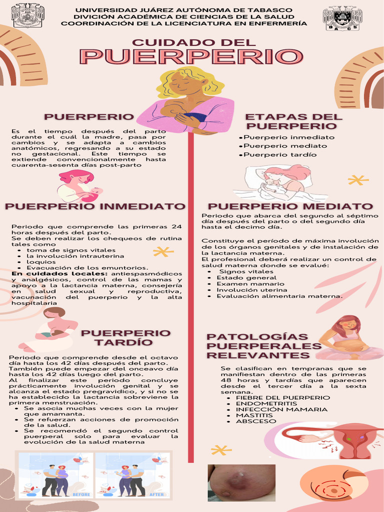 puerperio | PDF | Periodo posparto | Parto