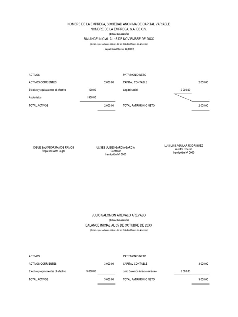 formato-balance-inicial | PDF | Valor neto | Contabilidad