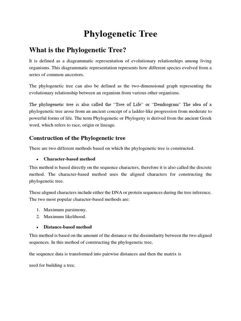 Phylogenetic Tree | Download Free PDF | Phylogenetic Tree | Phylogenetics