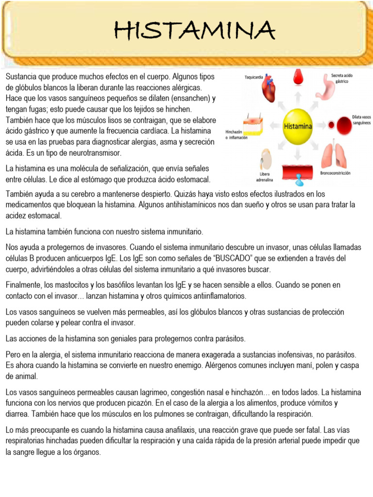 Efectos y funciones de la histamina | PDF | Alergia | Sistema inmune