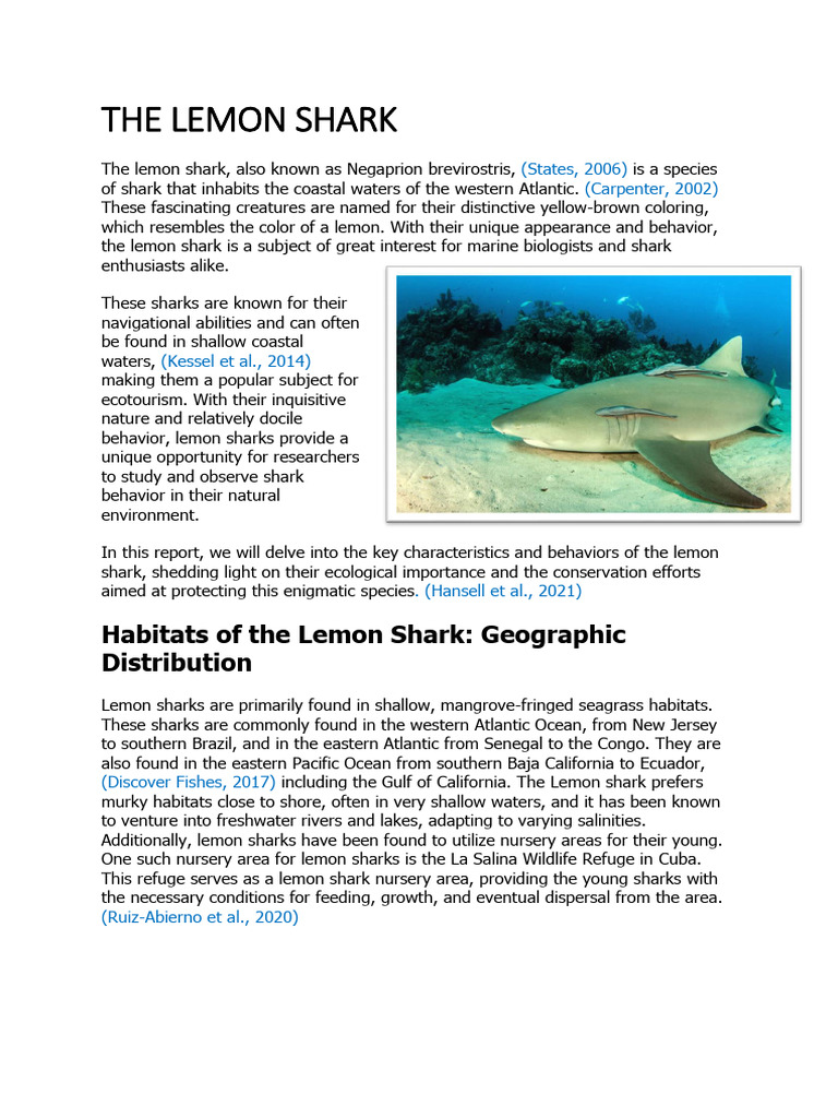lemonsharks_informationreport | PDF | Sharks | Aquatic Animals