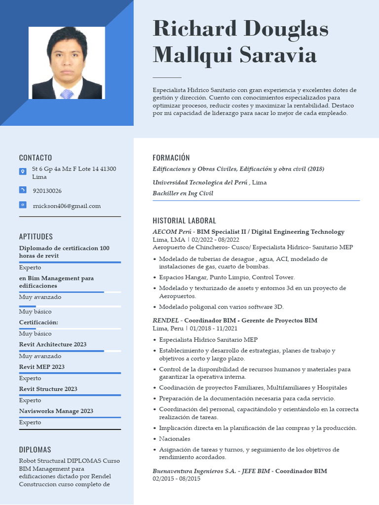 CV Tecnico BIM | PDF | Autodesk Revit | Ingeniería