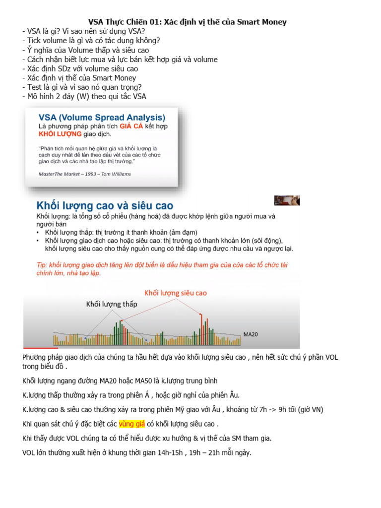 VSA Thực Chiến | PDF