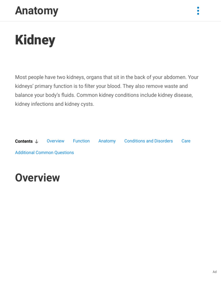 Kidneys - Location, Anatomy, Function & Health | Download Free PDF ...