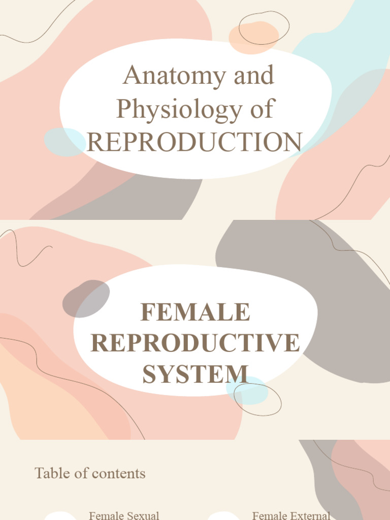 Group2 PPT Report | PDF | Menstrual Cycle | Human Body