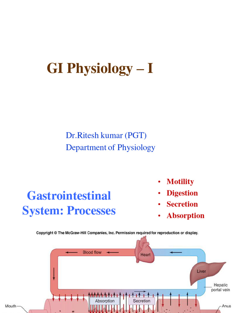 GI Physiology I - 170323045152 | PDF | Pancreas | Gastrointestinal Tract