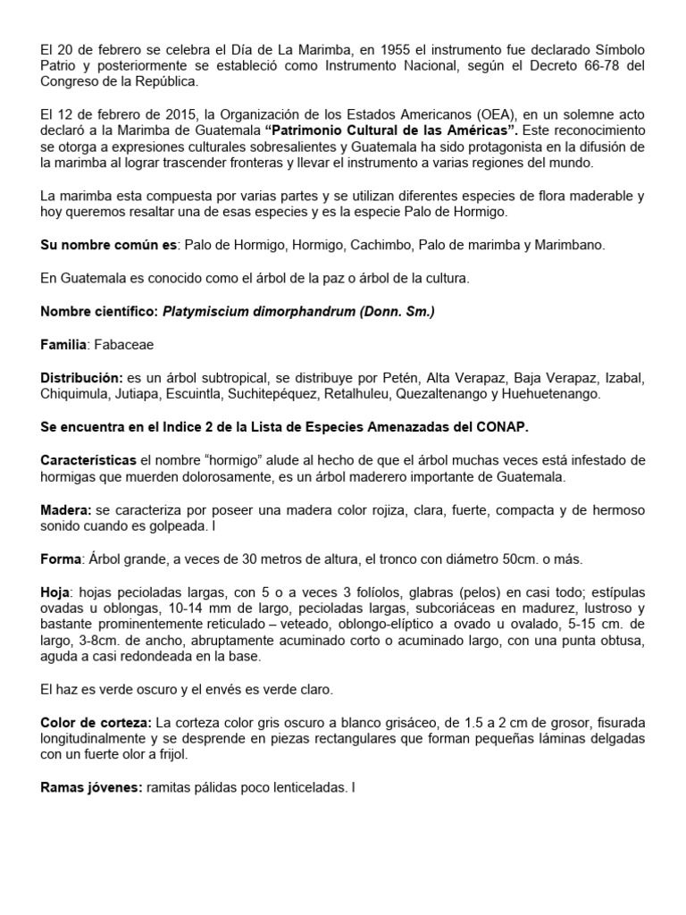 El 20 de Febrero Se Celebra El Día de La Marimba | PDF