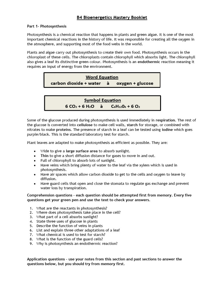 b4 Bioenergetics Mastery Booklet Arb v2 | PDF | Cellular Respiration ...